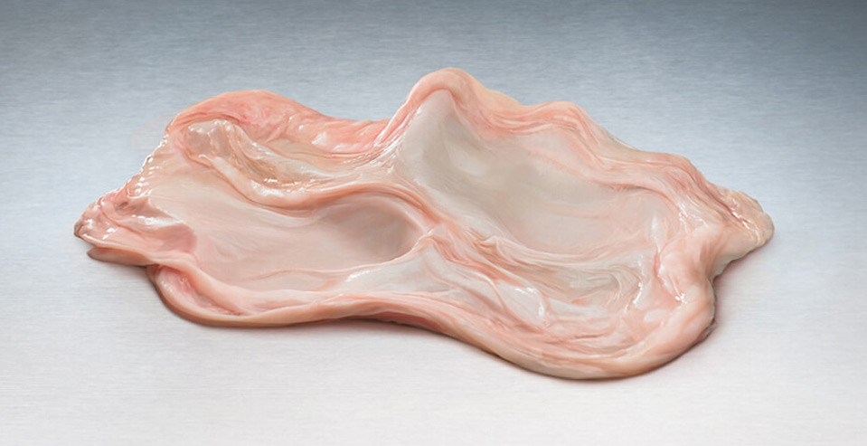 Porcine Tissue Products | Sustainable Swine Resources